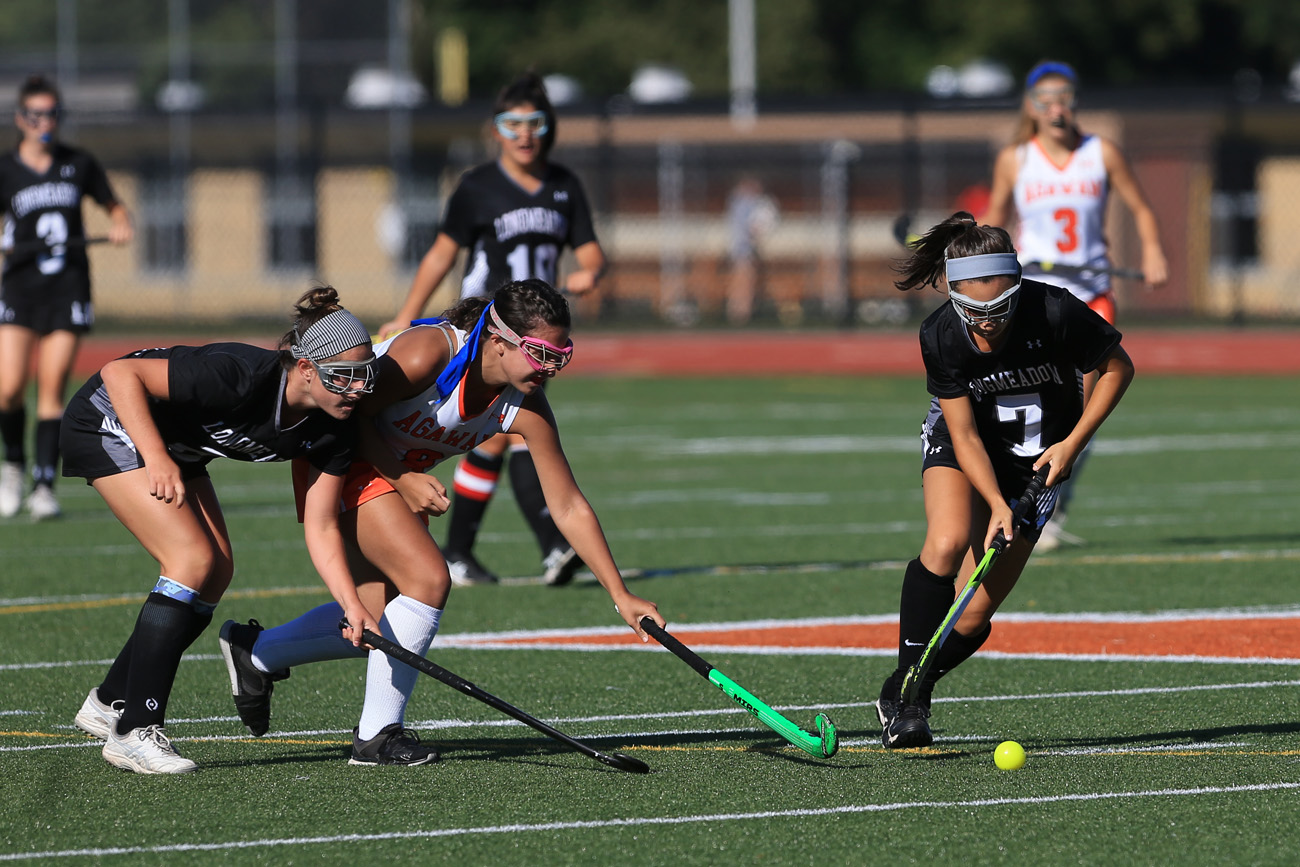 Evidence Practice Guidelines: Return to sport decisions after an acute ...